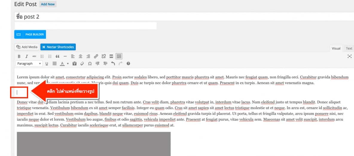 วิธีการเพิ่ม Post ใน wordpress - Boostpress